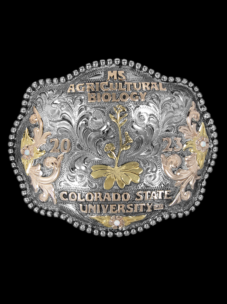 Crockett Belt Buckle - Custom Belt Buckles by Hyo Silver